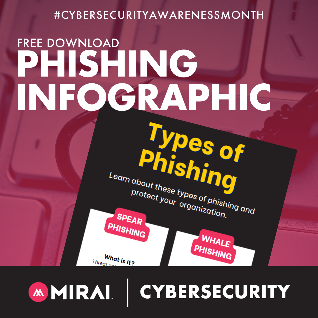 Phishing Awareness Infographic